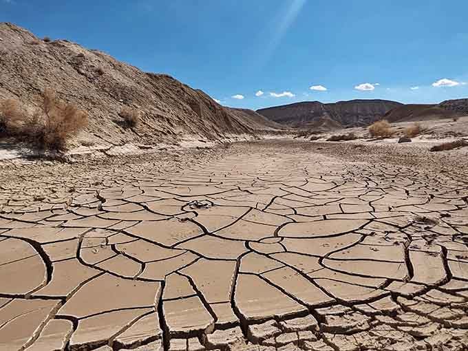 Nature's jigsaw puzzle: when the desert floor cracks like your grandmother's fine china, only infinitely more photogenic.
