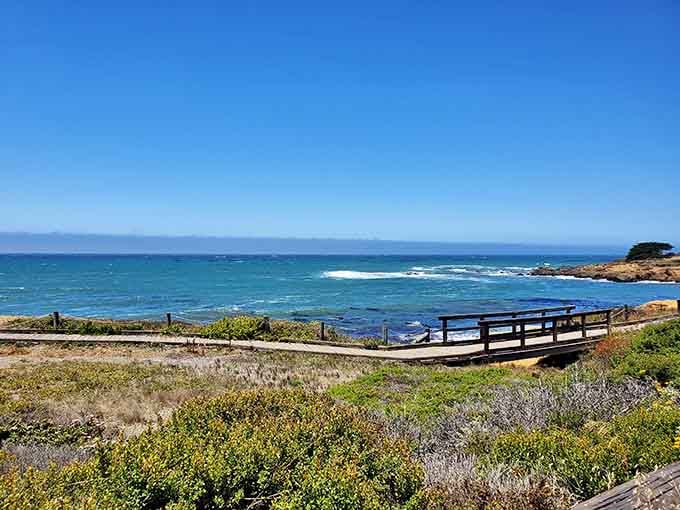 The boardwalk stretches ahead like a golden ribbon, promising ocean views that'll make your heart skip a beat.