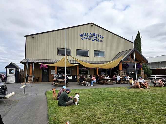 This unassuming farm store holds the kind of pie that'll make you question every dessert decision you've ever made.