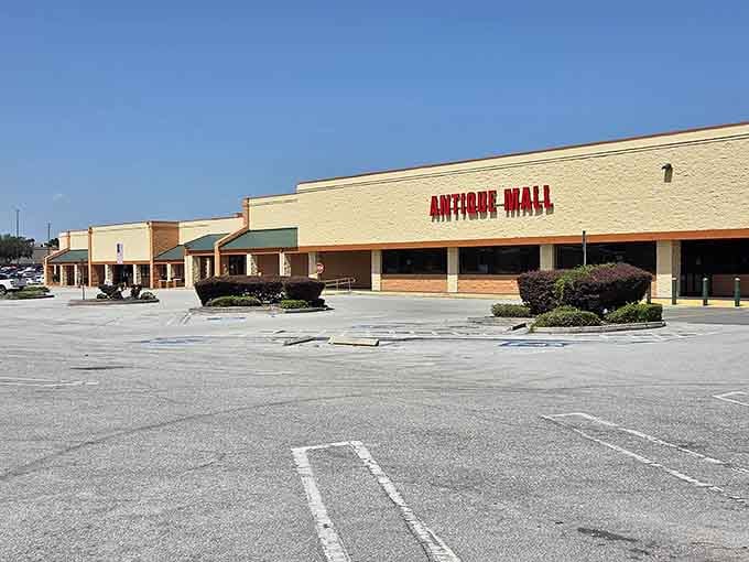 That unassuming strip mall exterior hides a treasure trove that'll swallow your entire afternoon whole.