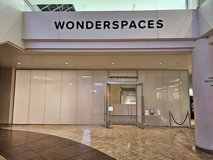 That clean storefront might look ordinary, but behind those glass doors waits a portal to artistic wonderland.