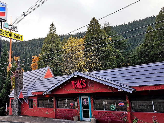 Sunshine and sticky buns await behind those turquoise doors, where highway hunger meets its match beautifully.