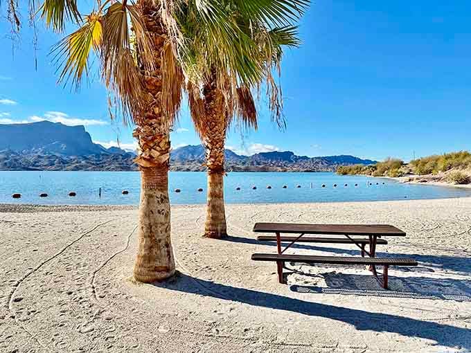 Palm trees and picnic tables on a sandy beach with mountain views? Arizona just casually flexing its tropical side.
