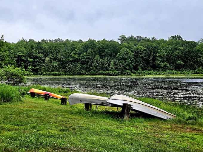 Those kayaks aren't just sitting there looking pretty, they're your ticket to exploring waters that rival any postcard.