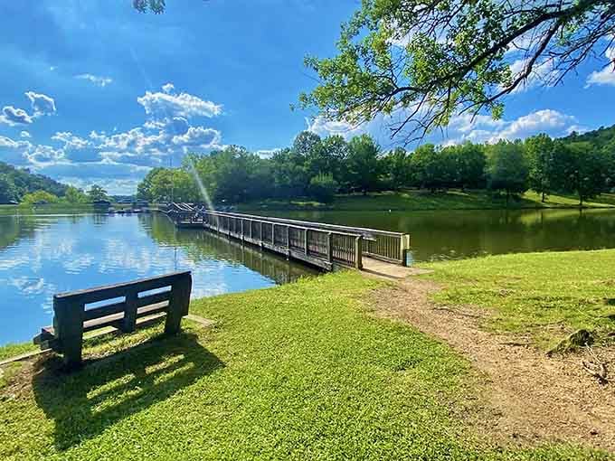 That bench knows exactly what it's doing, offering front-row seats to nature's most peaceful show.