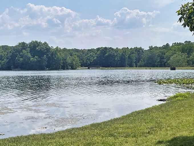 Lake Lincoln stretches out like nature's own infinity pool, minus the overpriced resort drinks and judgmental lifeguards.