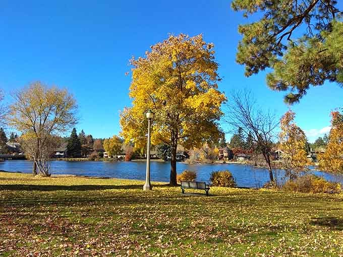 Golden autumn leaves frame Mirror Pond like nature's own picture frame, proving fall in Oregon is undefeated.