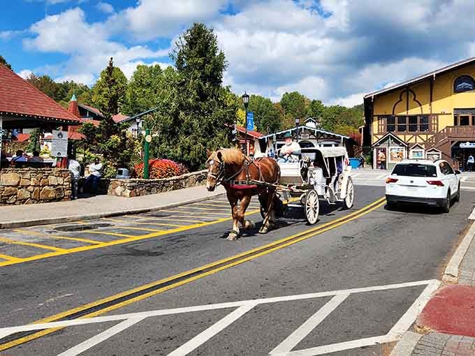 Horse-drawn carriages clip-clopping through a German village in North Georgia proves anything's possible with enough imagination and determination.