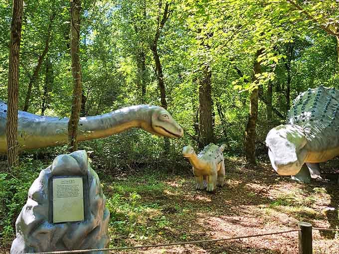 The informational plaques turn every stroll into a paleontology lesson, minus the pop quiz and with significantly better scenery than any classroom.
