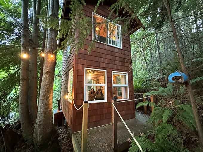 Your childhood treehouse dreams just got a serious upgrade, complete with actual walls and zero rusty nails.