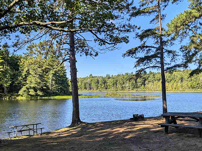 This is the view that makes you forget your phone exists for at least ten glorious minutes.