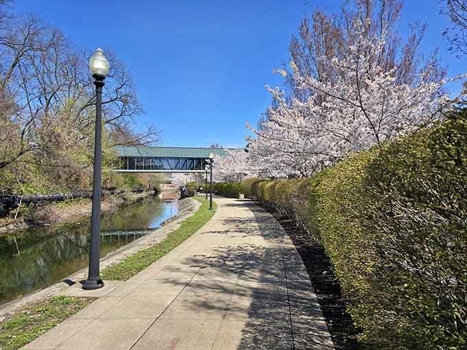 Spring blooms transform ordinary walking paths into scenes that make you forget you're minutes from civilization.