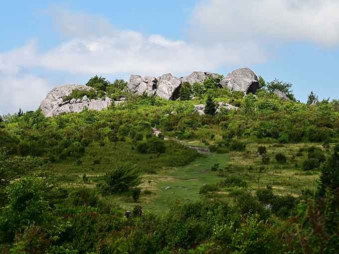 Mountains layered like a Bob Ross painting, where wild ponies roam free and Virginia shows its alpine side.