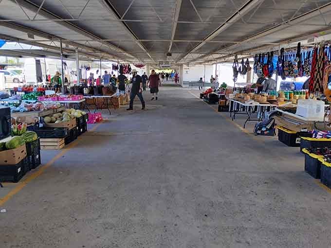 These wide aisles stretch endlessly, like a treasure hunter's dream come true with better lighting.