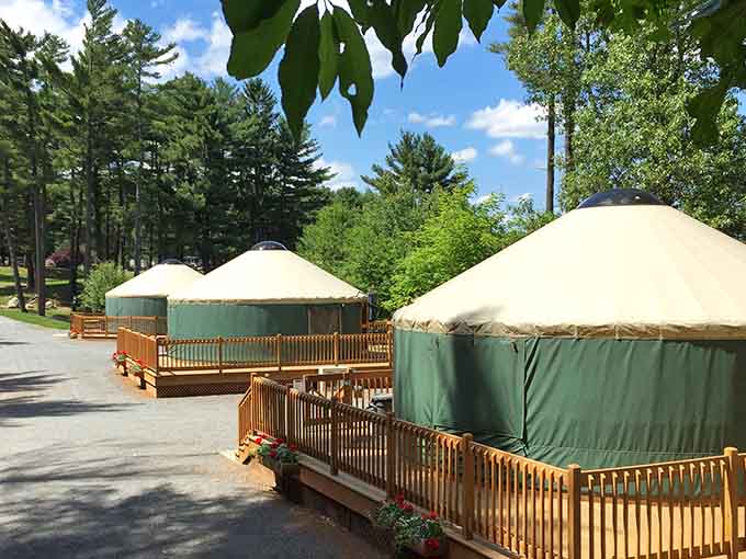 The yurt village nestled among the trees proves that camping doesn't require sacrificing comfort or your back's wellbeing.