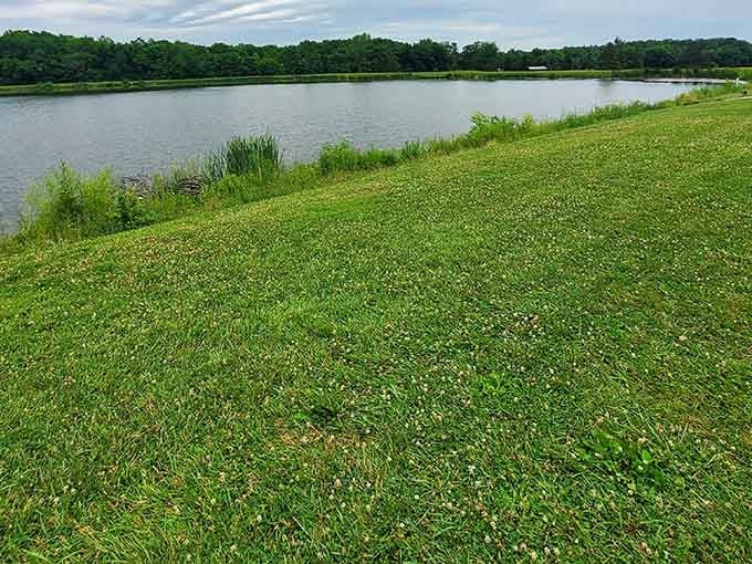 Ancient earthworks meet modern lawn care in this stunning view where history literally rises from the ground.