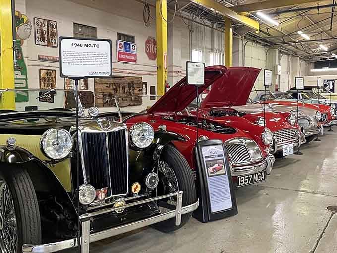 Classic beauties lined up like they're ready for the world's most stylish parade.