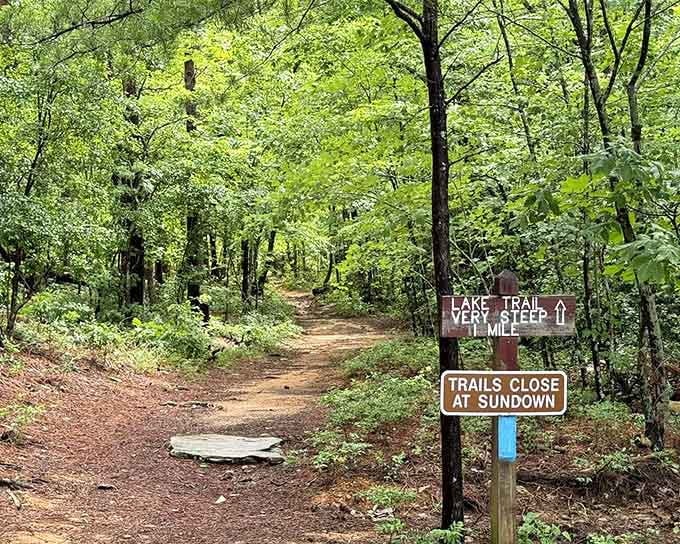 The trail begins with a gentle invitation, green trees painting the path like nature's own welcome mat.
