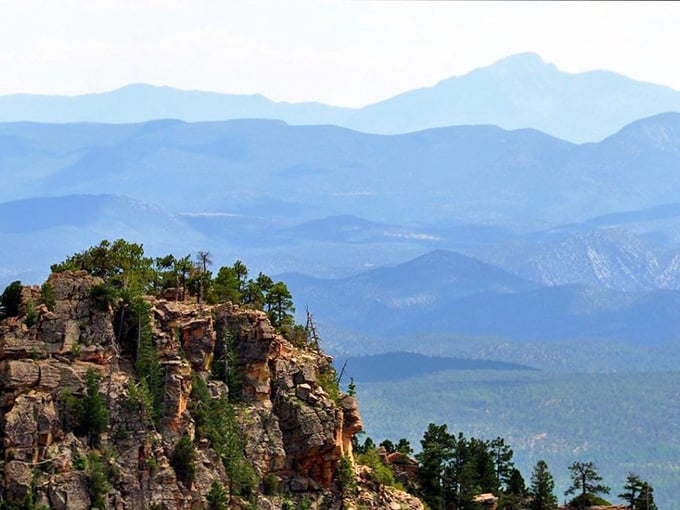 Those layered cliffs and endless forest prove Arizona has more personalities than a method actor.