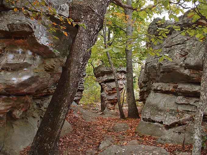Forget marble halls and fancy lobbies&mdash;this autumn pathway between ancient stone sentinels offers the kind of dramatic entrance that makes you feel like Indiana Jones, minus the rolling boulder.