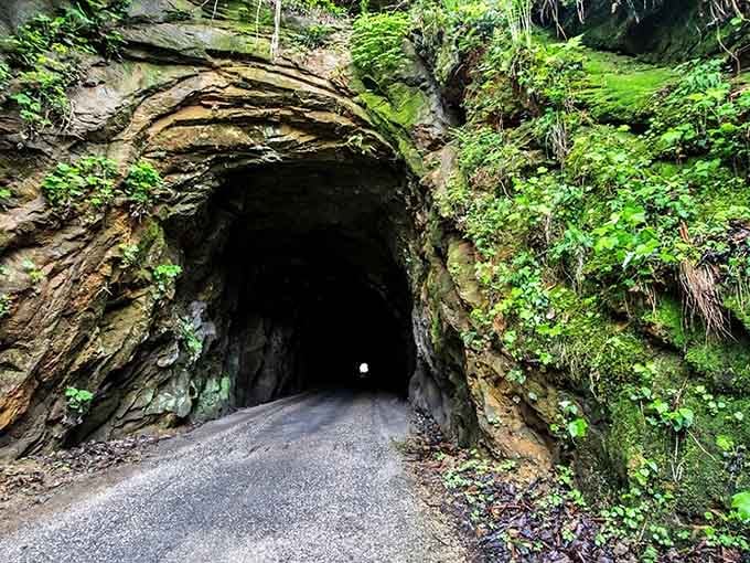 Nature's grand entrance to a mountain passage that looks like it belongs in an Indiana Jones movie.