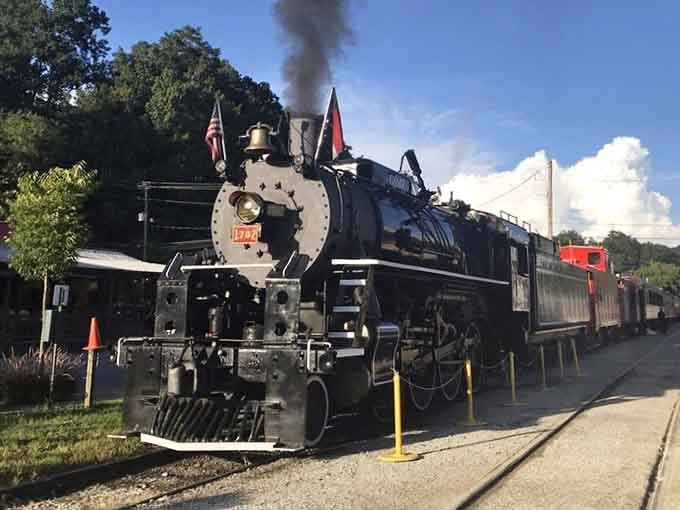 That magnificent beast of iron and steam looks ready to transport you straight into a vintage postcard come to life.