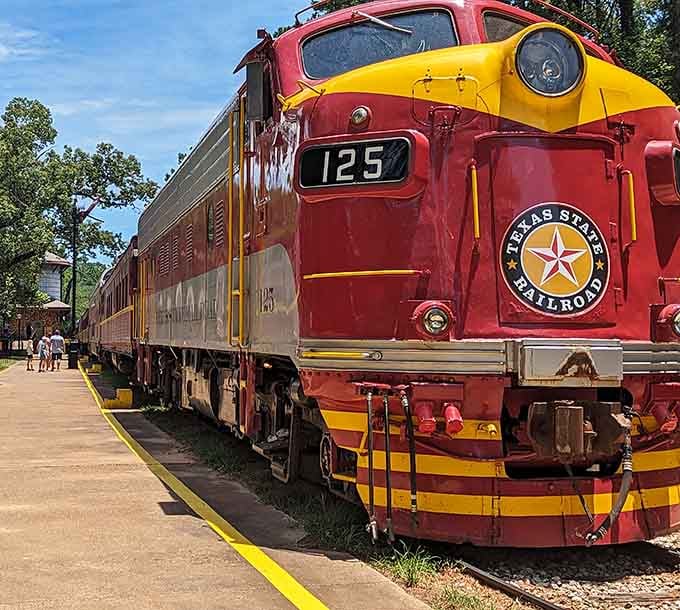 That magnificent locomotive gleams in the sunlight, its Texas State Railroad badge worn like a badge of honor.