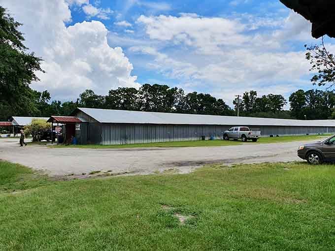 The unassuming exterior hides a treasure trove that'll make your weekend infinitely more interesting than another Target run.