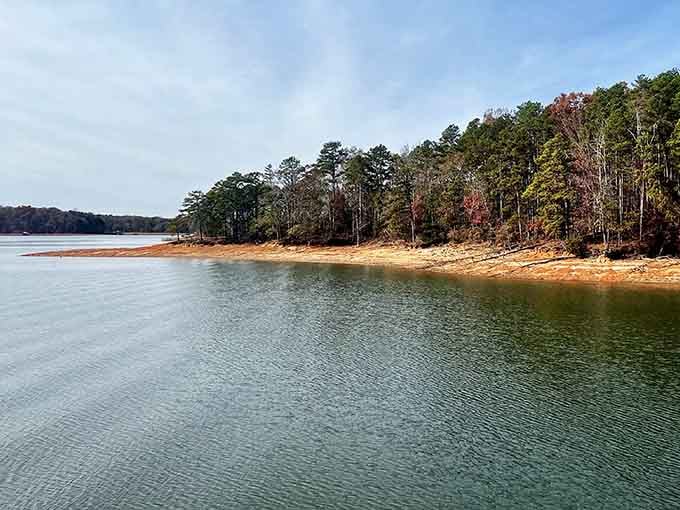 When the water's this calm and the shoreline this peaceful, you've found South Carolina's secret happy place.