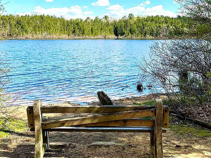 That bench has the best view in Salem County, and it doesn't even charge admission.