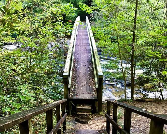 This bridge isn't just a crossing&mdash;it's your gateway to becoming an official two-state adventurer without changing your socks.