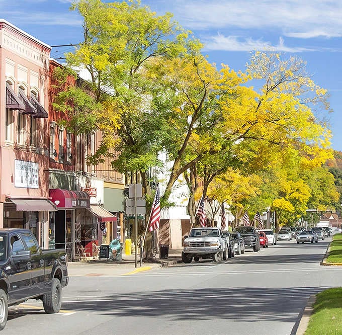 That tree-lined street isn’t just scenic, it invites you to slow down and enjoy a quieter pace.