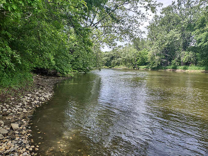 The Tippecanoe River flows with the kind of calm confidence that makes you want to grab a paddle immediately.