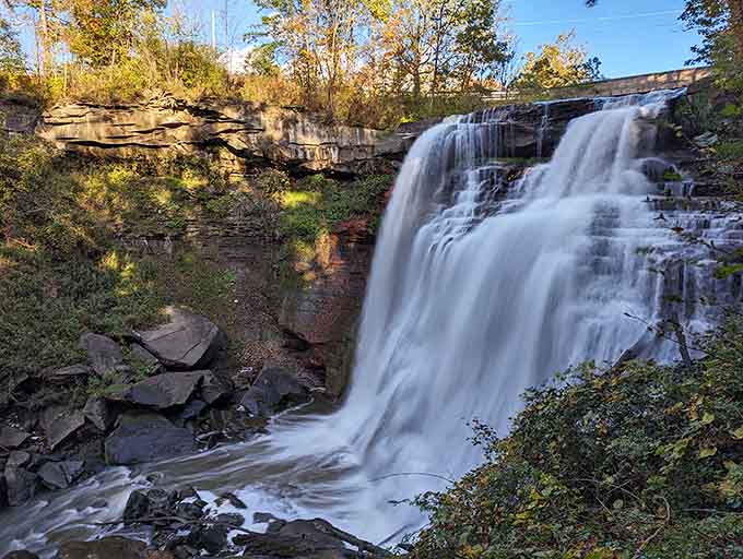 Nature's own staircase tumbles 65 feet down ancient rock layers, proving Ohio knows how to make an entrance.