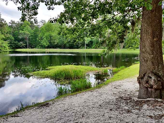 Old Levi's Mill Pond reflecting the sky like nature's own mirror, perfect for contemplating life's bigger questions.