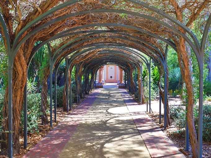 Those twisted vines overhead create natural architecture that would make any designer weep with envy and reach for their sketchbook.