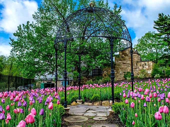 Pink tulips frame an elegant arbor, creating a scene so perfect it almost seems staged by nature itself.