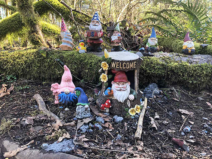 Your whimsical adventure begins here, where a cheerful welcome committee greets visitors with pointy hats and endless charm.