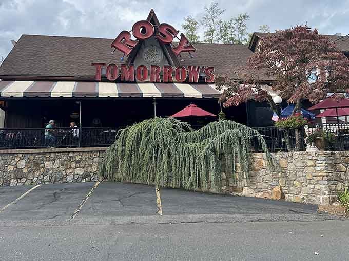 That bold signage isn't whispering its presence, it's announcing that something wonderfully unusual awaits inside.