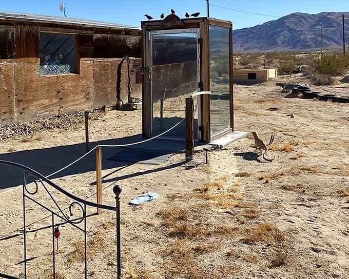 The star of the show stands proud in the desert, proving that transparency and privacy make strange bedfellows indeed.