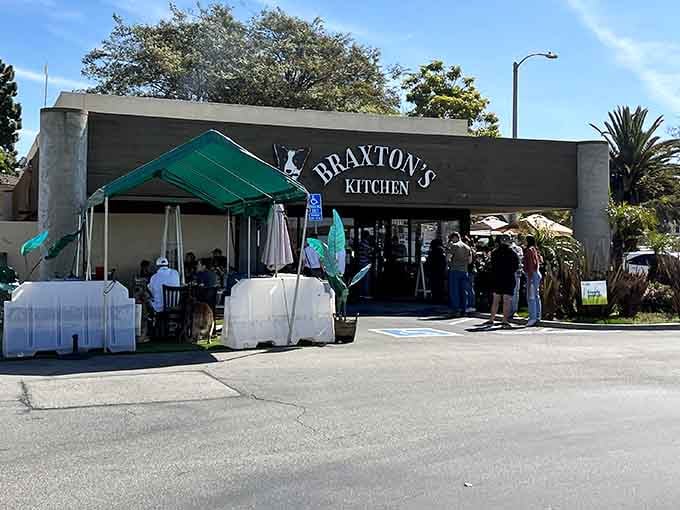 That adorable Boston Terrier logo welcomes you to breakfast bliss in sunny Camarillo, California.