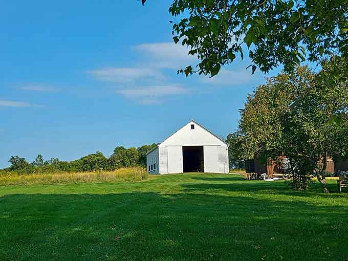 That crisp white barn against emerald grass and blue sky proves Illinois countryside can compete with any pastoral painting.