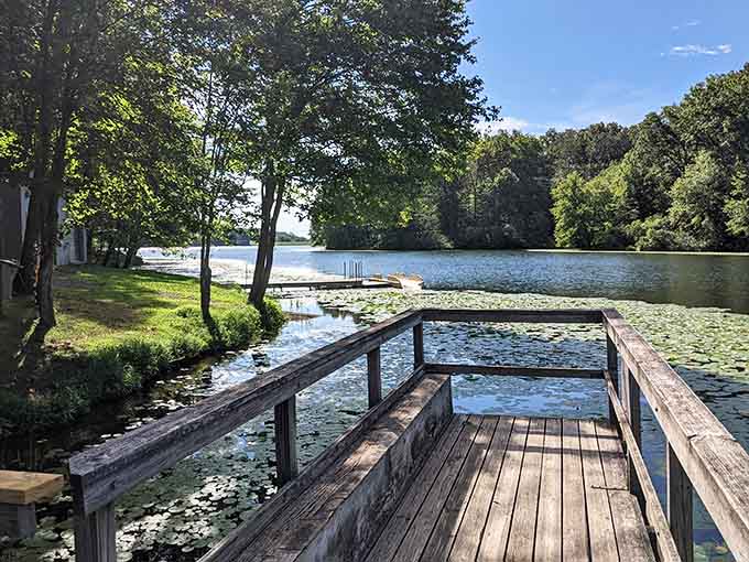 Those wooden docks stretching into the calm water look like nature's invitation to slow down and breathe.