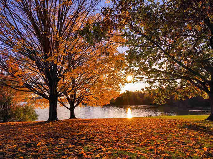 Autumn leaves carpet the shoreline while sunset paints the water in shades that defy description.