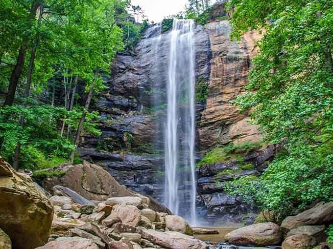 That's 186 feet of pure Georgia magic tumbling down like nature's own standing ovation for the mountains.