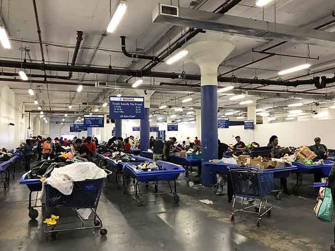 Rows of blue bins stretch endlessly across the warehouse floor like an all-you-can-dig buffet of possibilities.