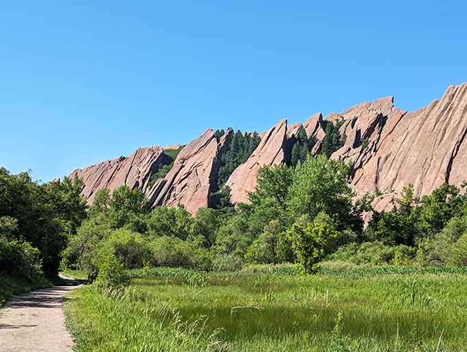 Those towering red fins rising from green meadows look like nature's version of a fantasy film set.