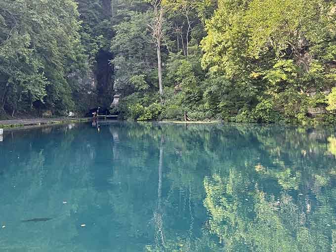 That water clarity isn't a filter trick, it's just Missouri showing off its best kept secret.