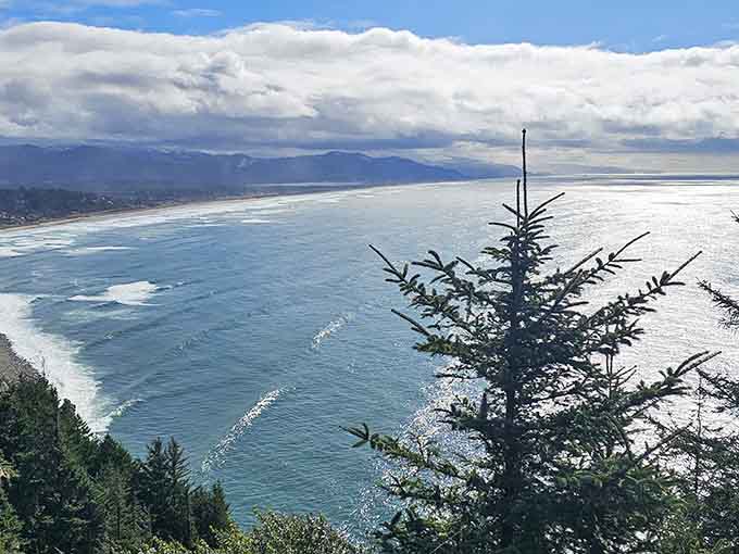When the rainforest decides it wants an ocean view, this is what happens: pure coastal magic.