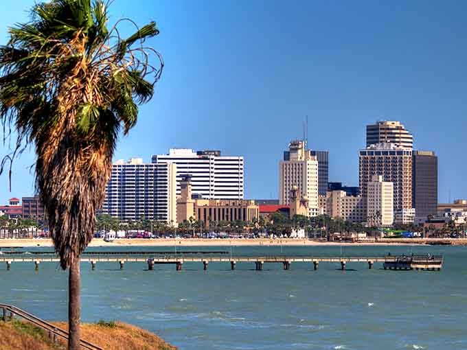 That skyline view across the bay proves you don't need skyscraper rent to enjoy waterfront living with palm trees included.